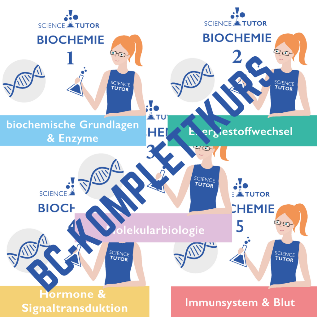 Biochemie komplett fürs Physikum - inkl. Skript und Chemiewiederholung ...